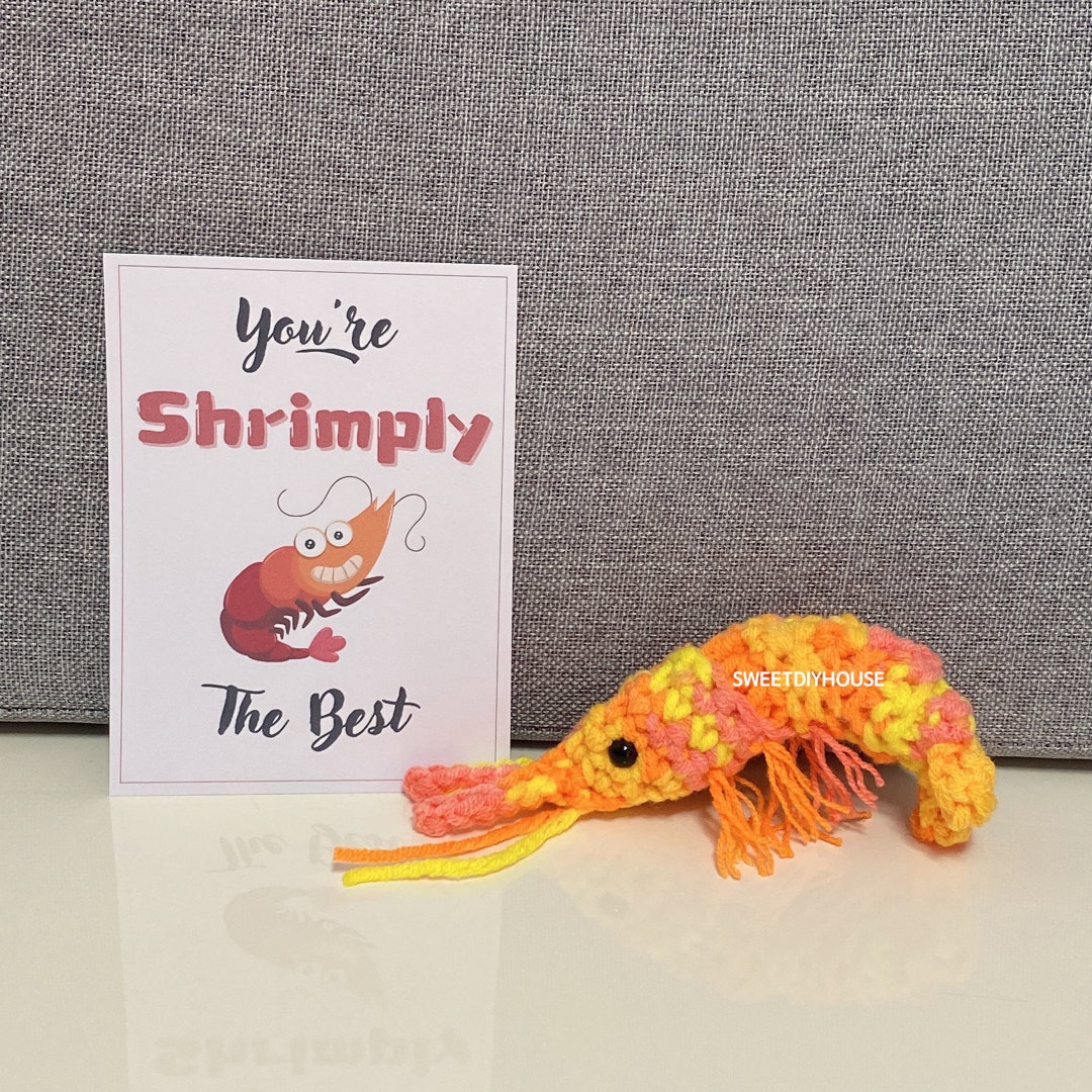 Emotional Support Shrimps With Positive Affirmation, Handmade Crochet ...