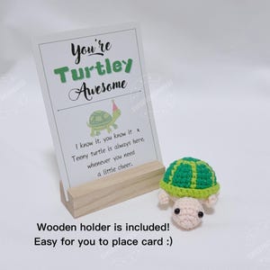You're TURTLEY AWESOME Stuffed Turtle, Cheer up Gift for Coworker ...