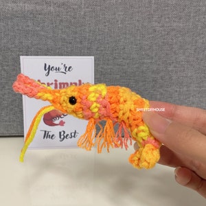Emotional Support Shrimps With Positive Affirmation, Handmade Crochet ...