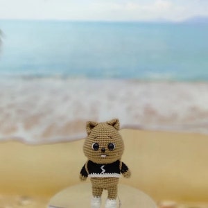 PDF BUNDLE AMIGURUMI|| Stray Kids Kpop Skzoo Crochet Pattern - Etsy