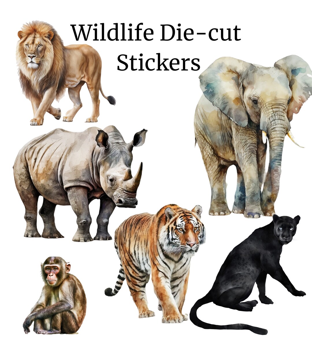 Die-cut Vinyl Wildlife Stickers Detailed Wild Animal - Etsy UK