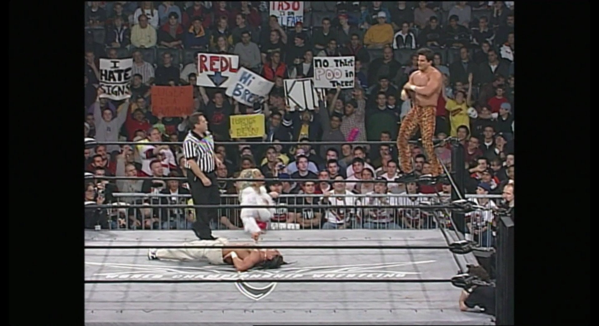 History of the WCW World Light Heavyweight Cruiserweight - Etsy