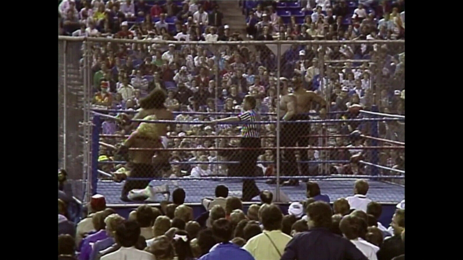 Wrestlerock 86 1986 Bluray Blu-ray Wrestling Wrestle Rock AWA - Etsy