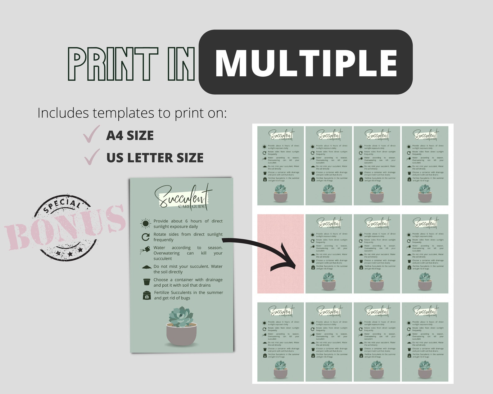 Succulent Plant Care Card Guide Template | Succlent Care Tips | Plant ...