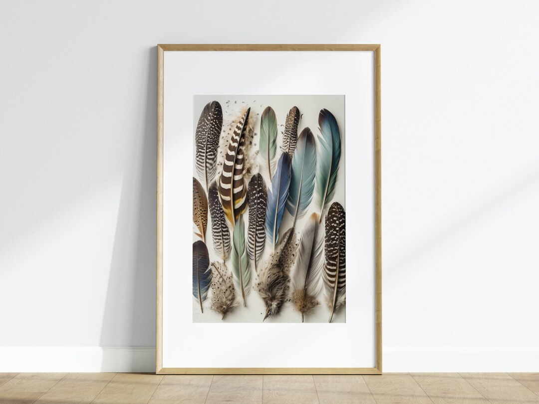 Colorful Bird Feather Print, Nature Wall Art (digital Download) - Etsy