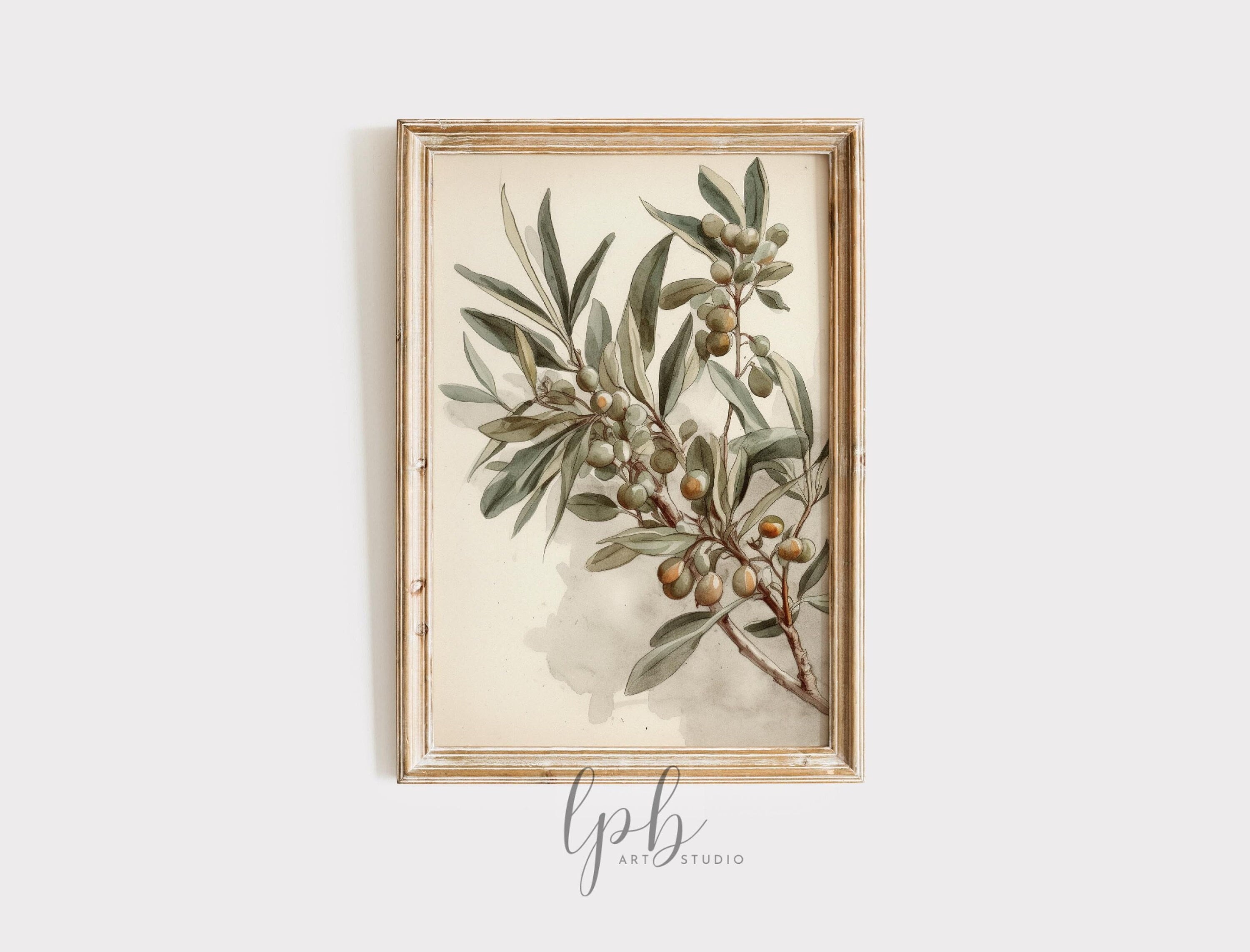 Vintage Olive Branch Wall Art | Rustic Country Home Printable | Digital ...