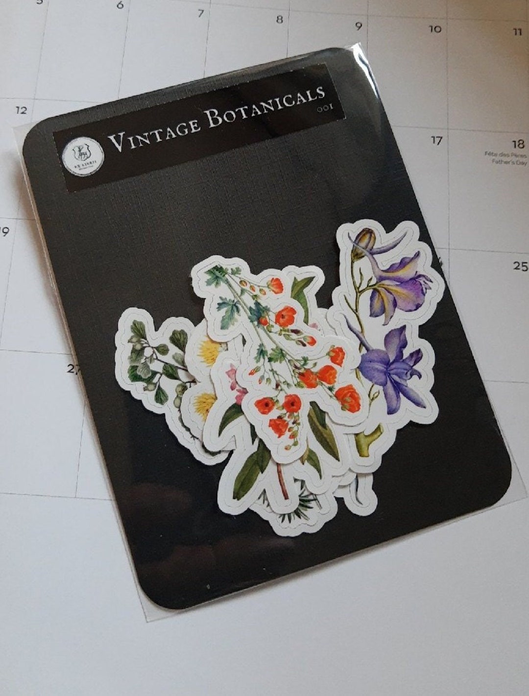 Vintage Botanicals | Sticker Pack | Die Cut Stickers | Easy Peel - Etsy