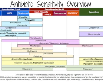 Antibiotic Coverage Chart - Etsy
