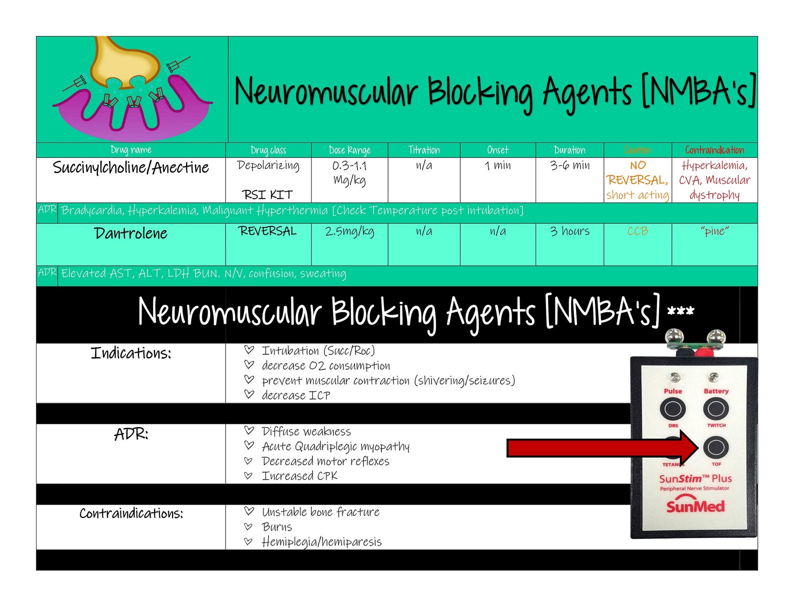 Neuromuscular Blocking Agents (paralytics) Cheat Sheet - Etsy