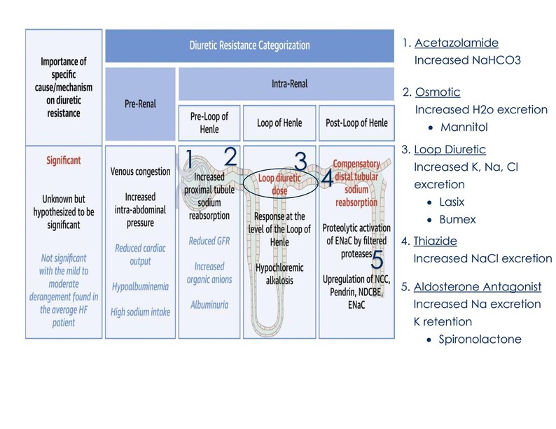 Diuretic Resistance Chart - Etsy