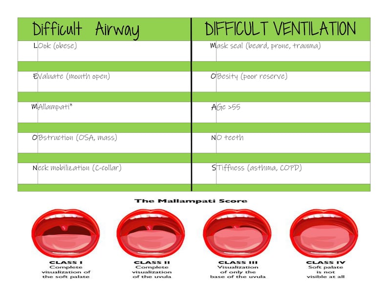 Intubation Cheat Sheets - Etsy