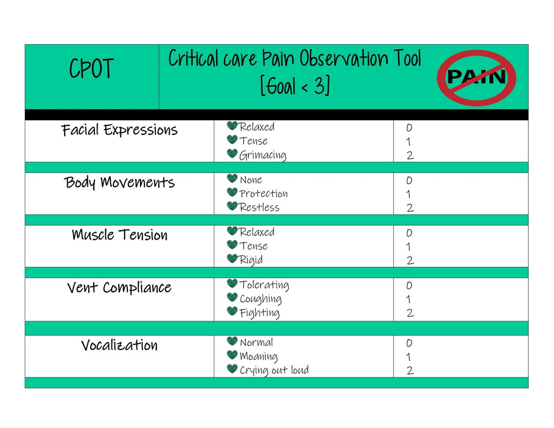 CPOT: Critical Care Observation Tool - Etsy