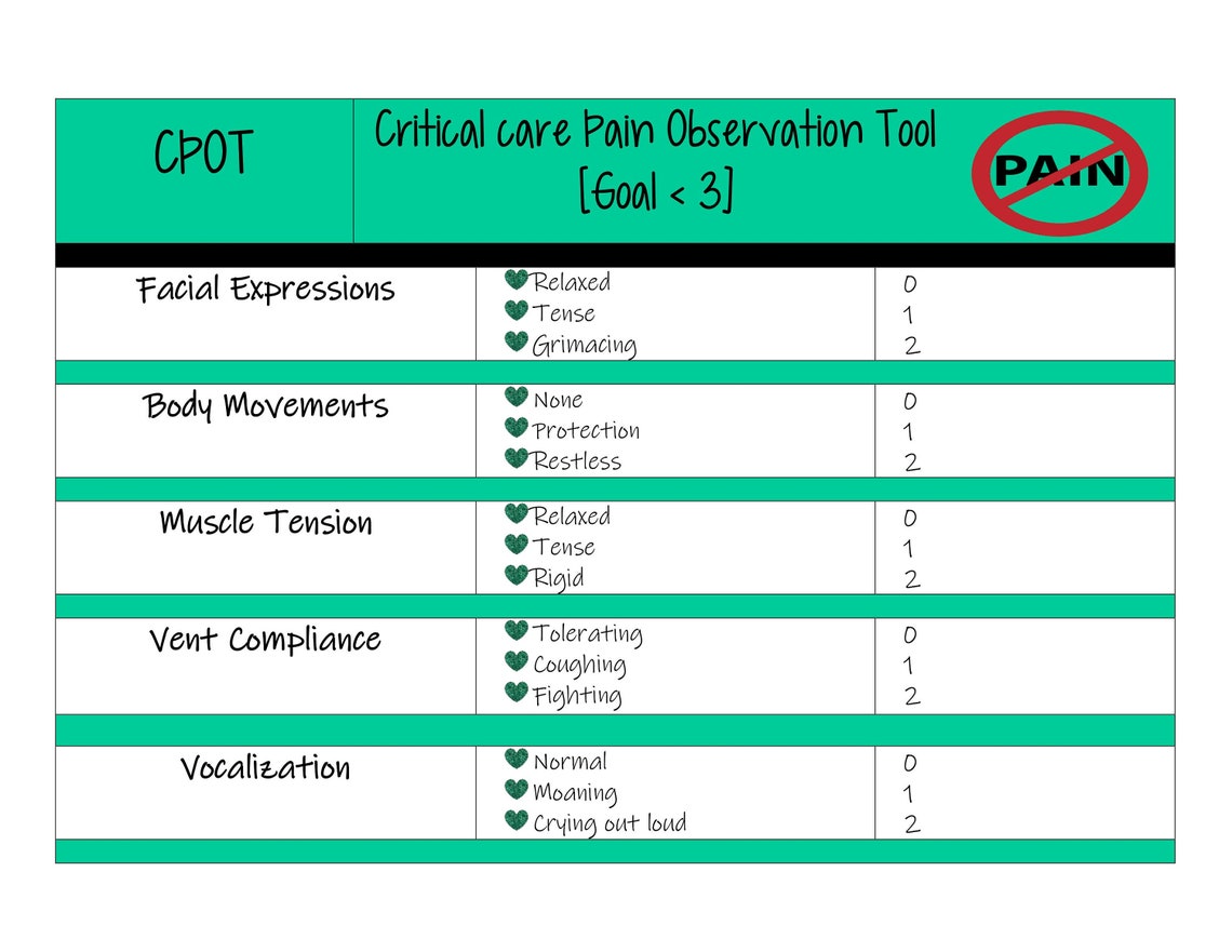 CPOT: Critical Care Observation Tool - Etsy