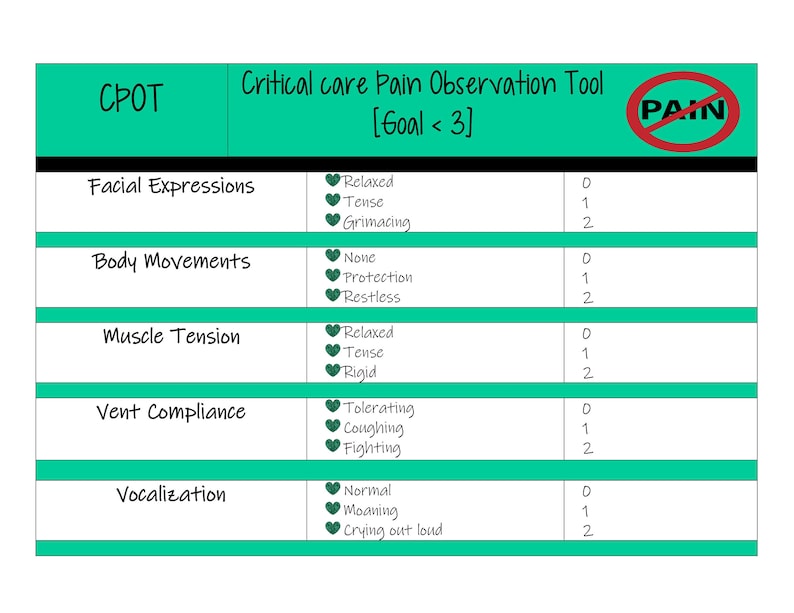 CPOT: Critical Care Observation Tool - Etsy