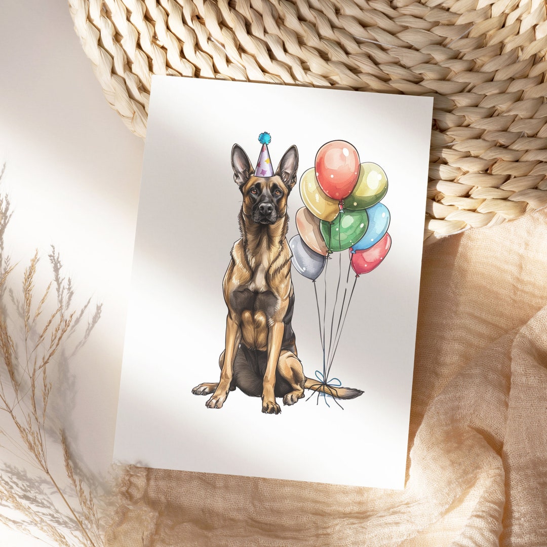 Belgian Malinois Birthday Greeting Card Card From the Dog for Groomers ...