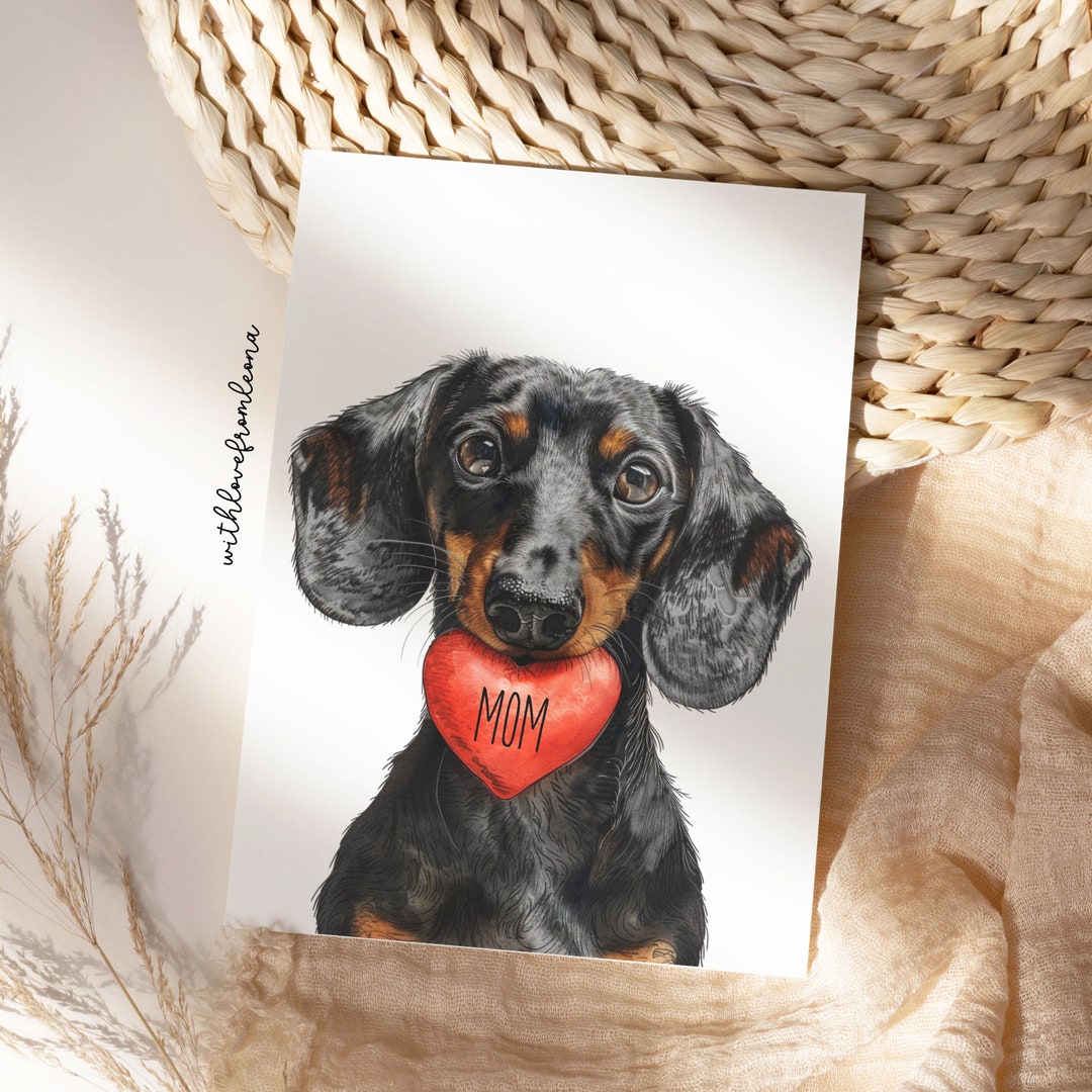 Dachshund Mothers Day Greeting Card Card From the Dog for Groomers Vets ...