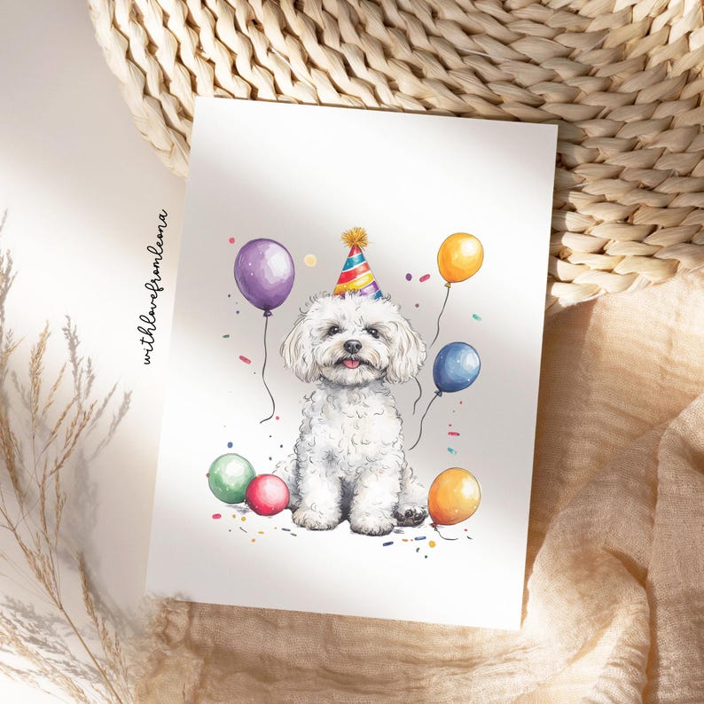 Bichon Frise Birthday Greeting Card From the Dog for Groomers Vets and ...