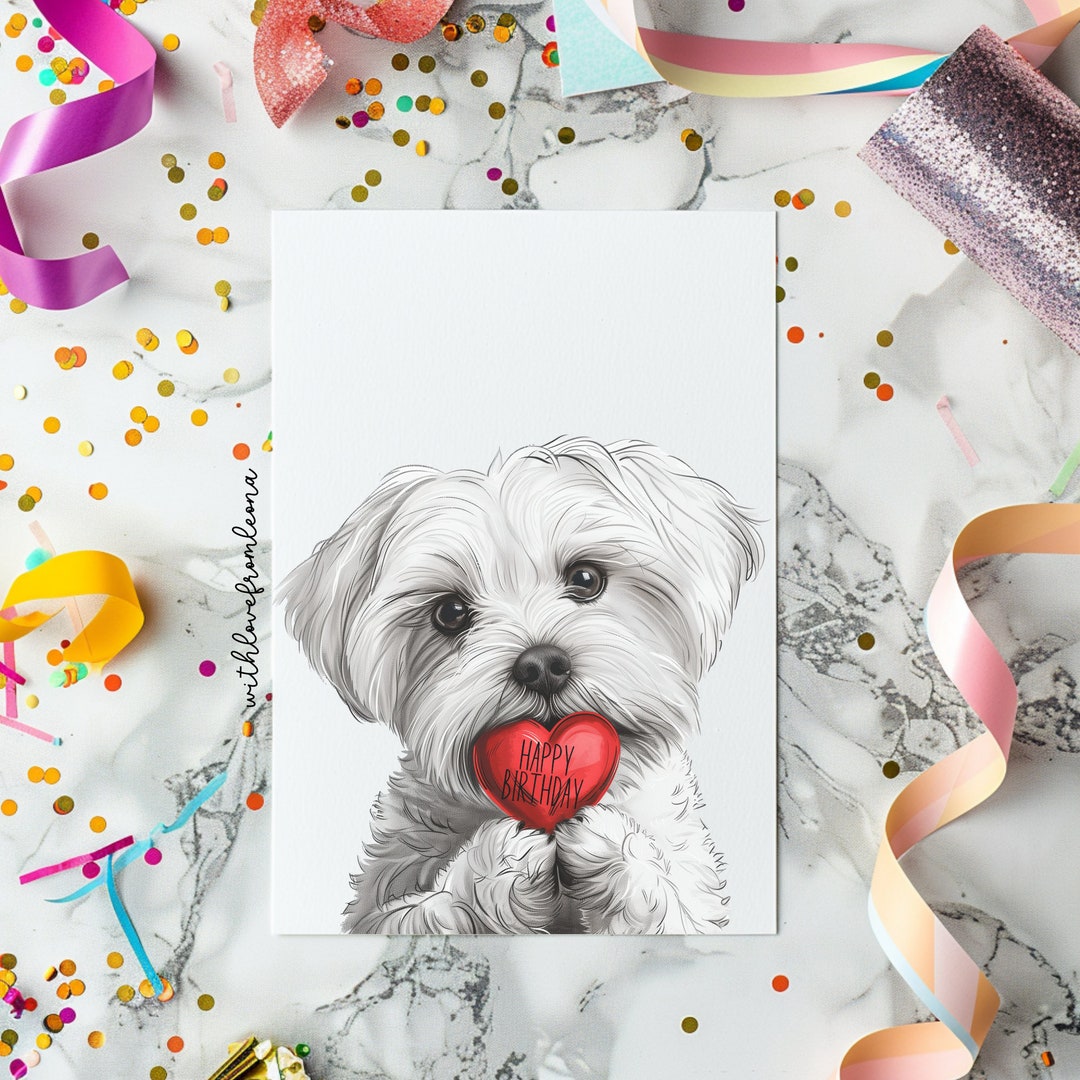 Maltese Dog Birthday Greeting Card From the Dog for Groomers Vets Breed ...