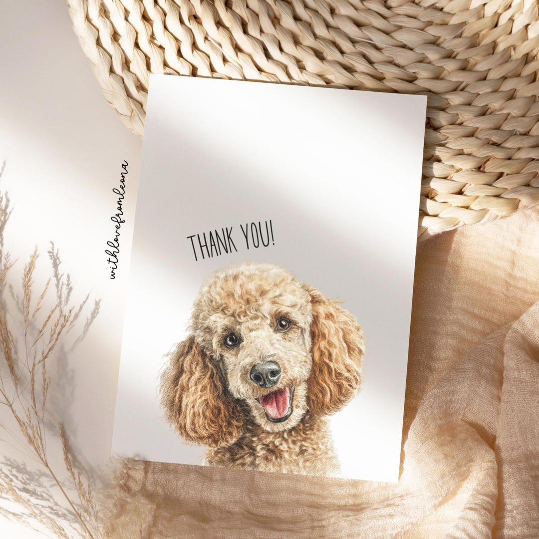 Poodle Thank You Greeting Card From the Dog for Groomers Vets Breed ...
