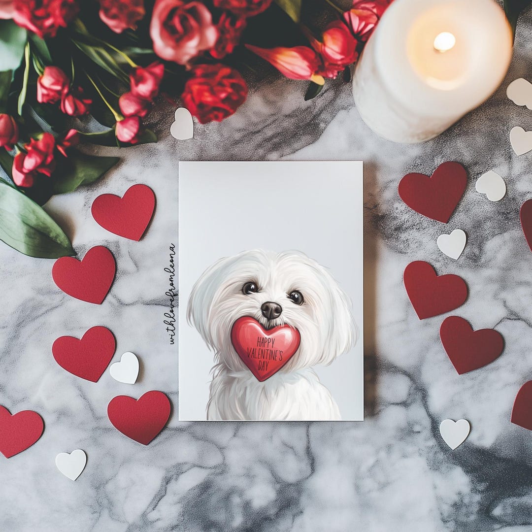 Maltese Dog Valentines Day Greeting Card From the Dog for Groomers Vets ...