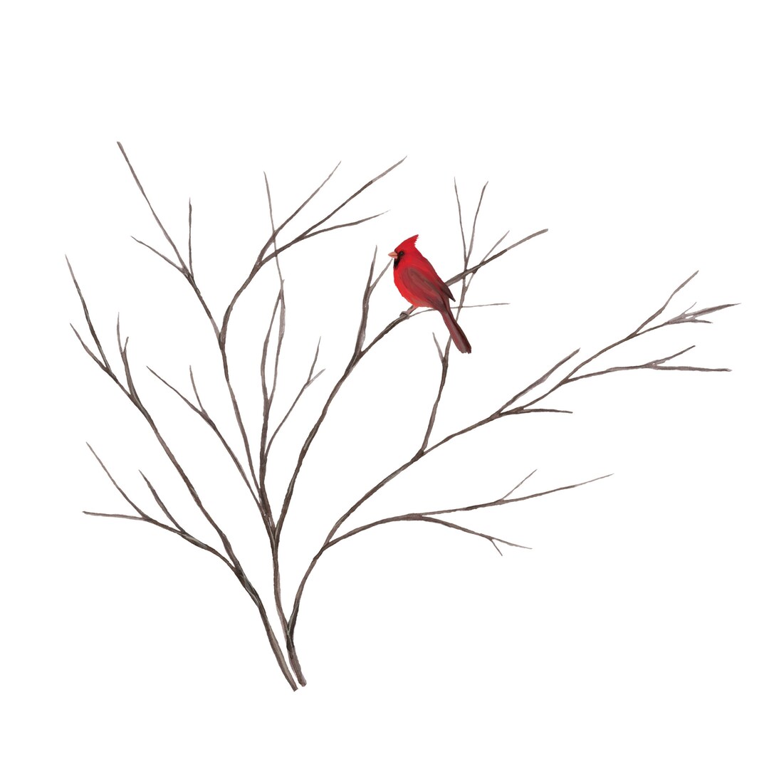 Red Cardinal Art Print Square 1x1 Printable Wall Decor Birch Tree ...