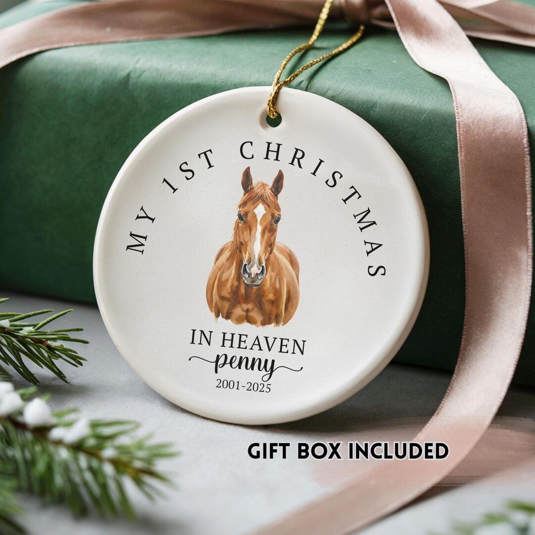 Horse Memorial Ornament Personalized Horse Passing Keepsake Memory of ...