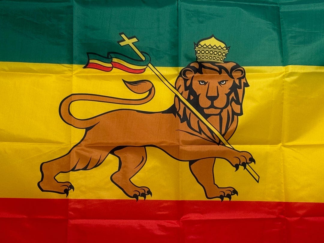 Lion of Judah Flag | Rasta Decor | Rastafarian Home Art - Etsy