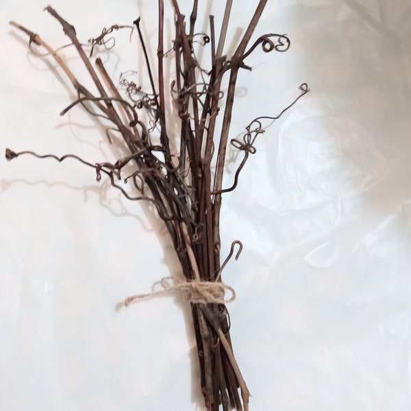 Grapevine Garland - Etsy