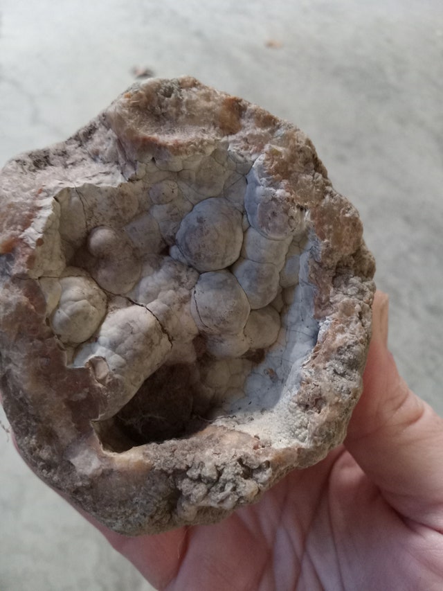 KyRocksnFossils - Etsy