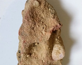 KyRocksnFossils - Etsy