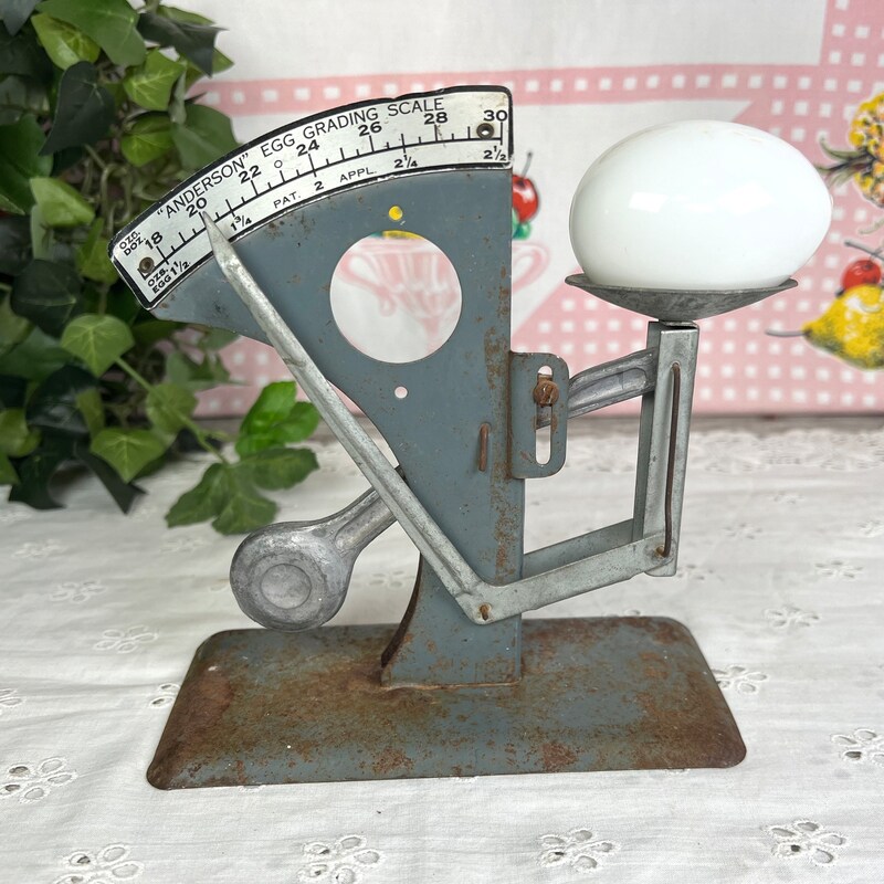Egg scale - Etsy
