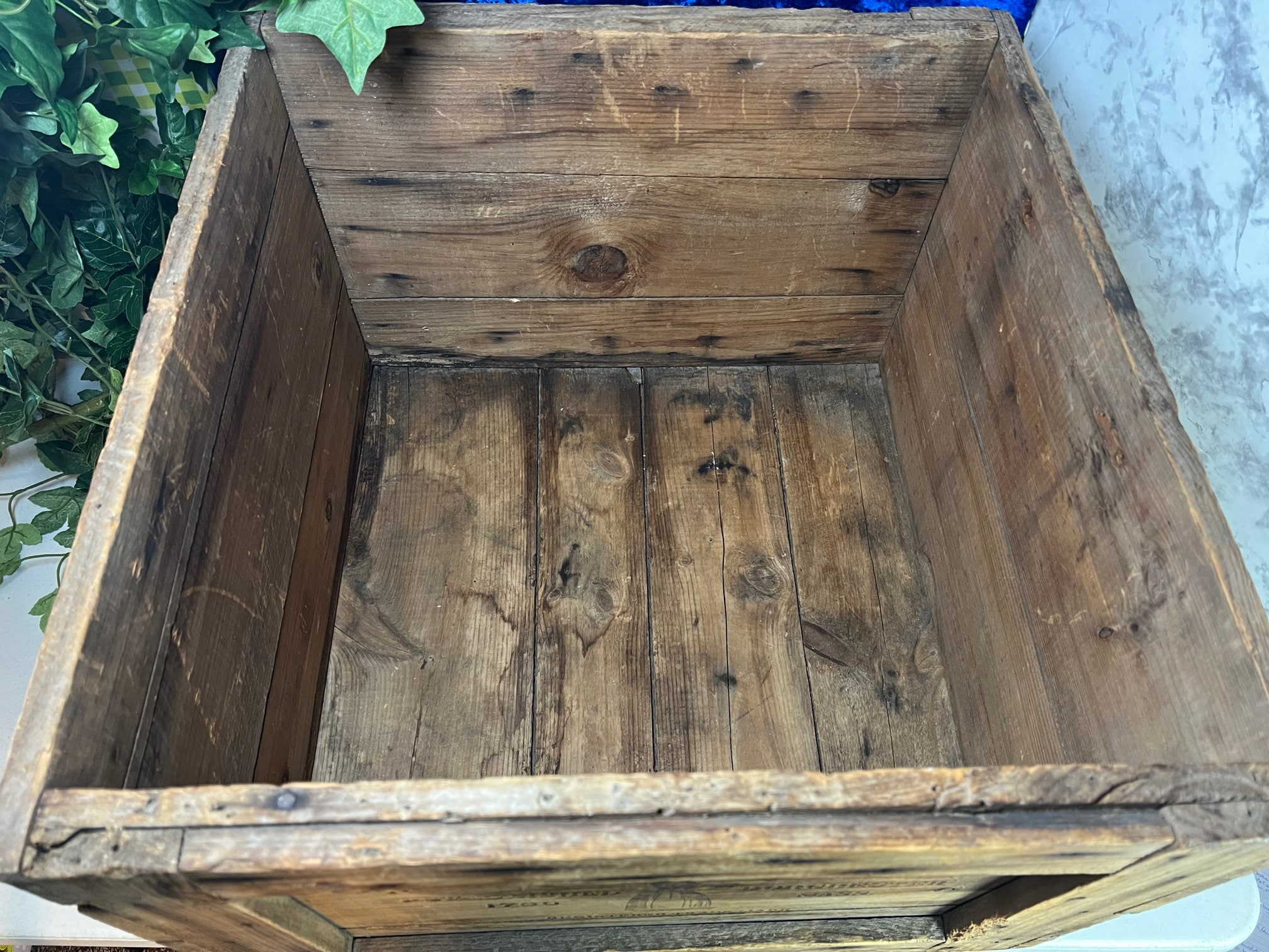 Vintage Early 1900s Chocolate Shipping Crate, Large Baker Co. Sweet ...