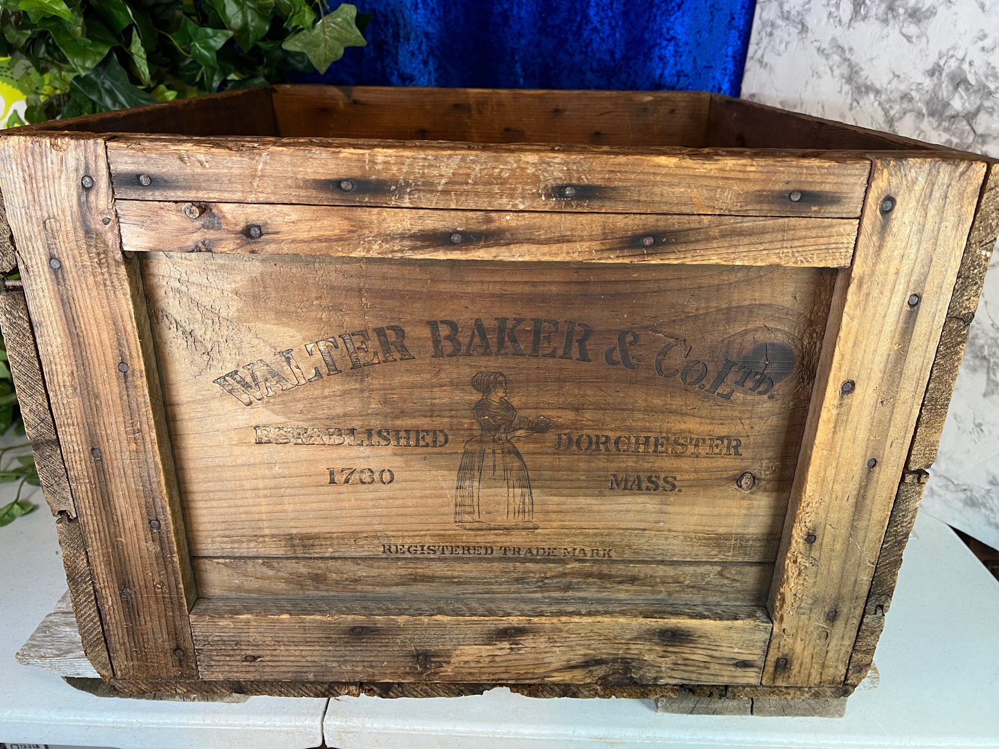 Vintage Early 1900s Chocolate Shipping Crate, Large Baker Co. Sweet ...
