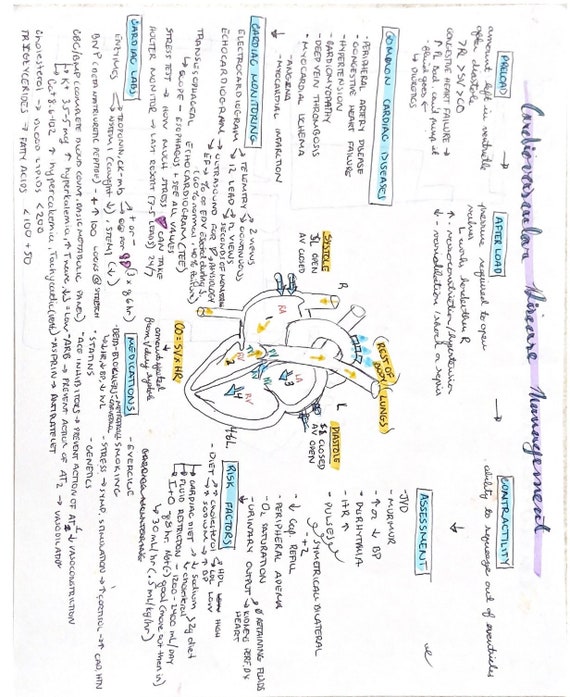 NSG Concept Maps: Cardiovascular Disease Management - Etsy