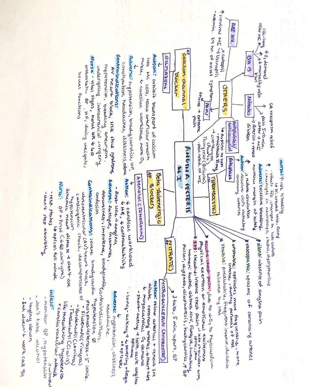 PHARM Concept Maps: Angina Pectoris & Heart Attack - Etsy