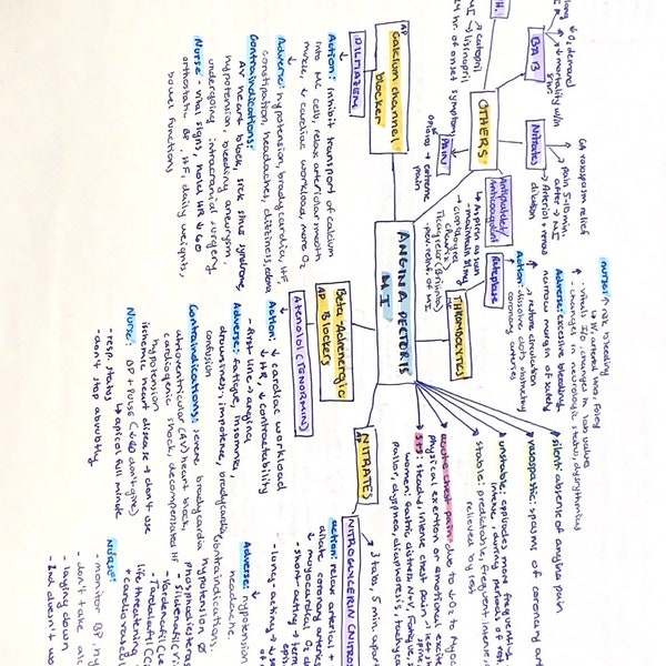 Pharm Concept Map - Etsy