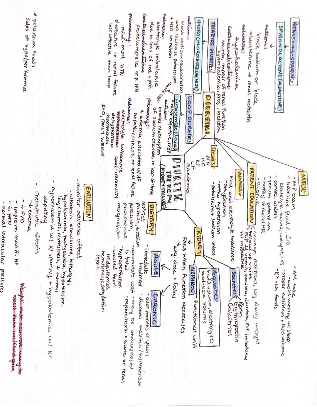 PHARM Concept Maps: Diuretics renal Failure - Etsy