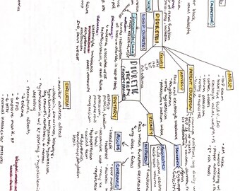 NSG Concept Maps: Professionalism & Civility - Etsy