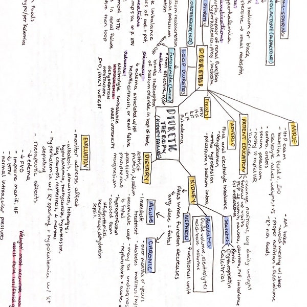 Pharm Concept Map - Etsy