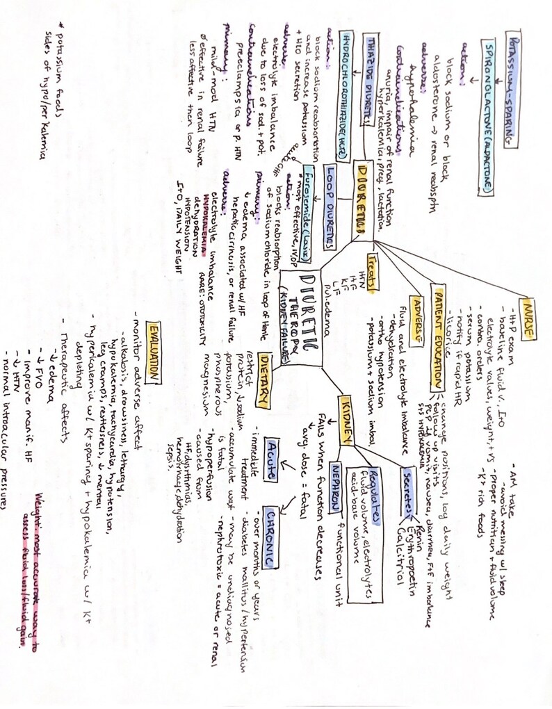 PHARM Concept Maps: Diuretics renal Failure - Etsy