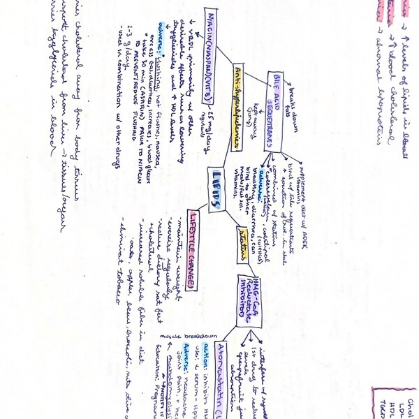 Pharm Concept Map - Etsy