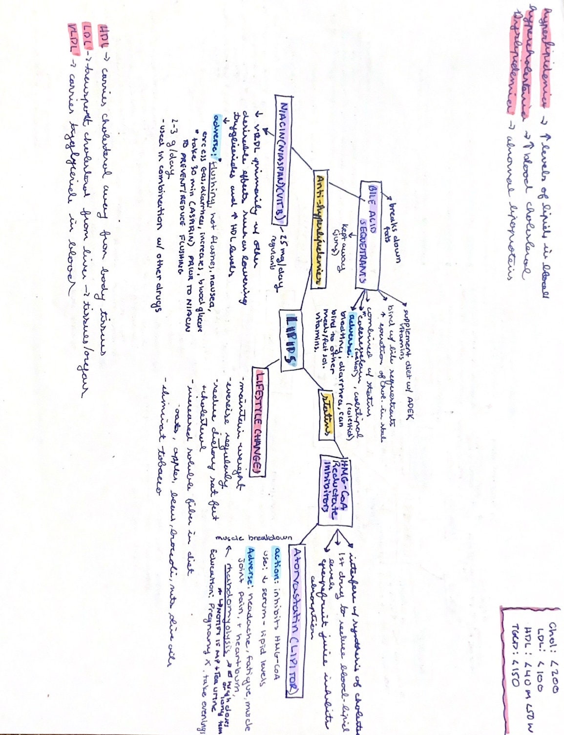 PHARM Concept Maps: Lipids - Etsy