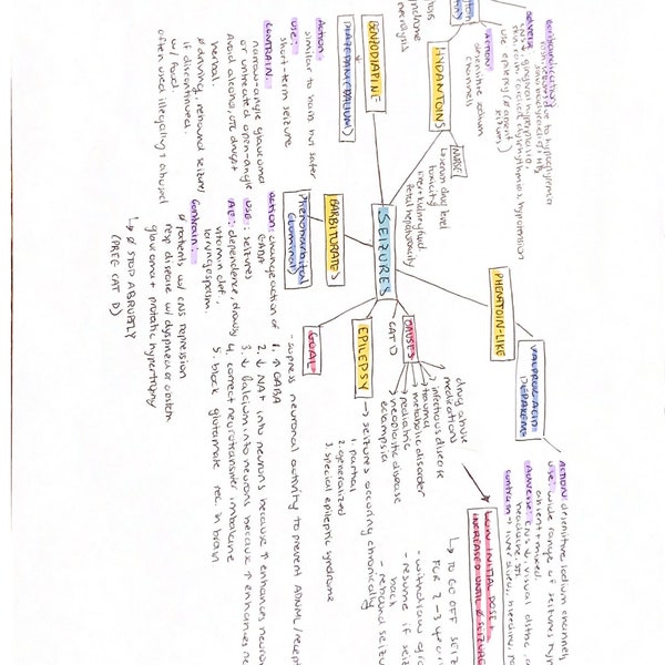 Pharm Concept Map - Etsy