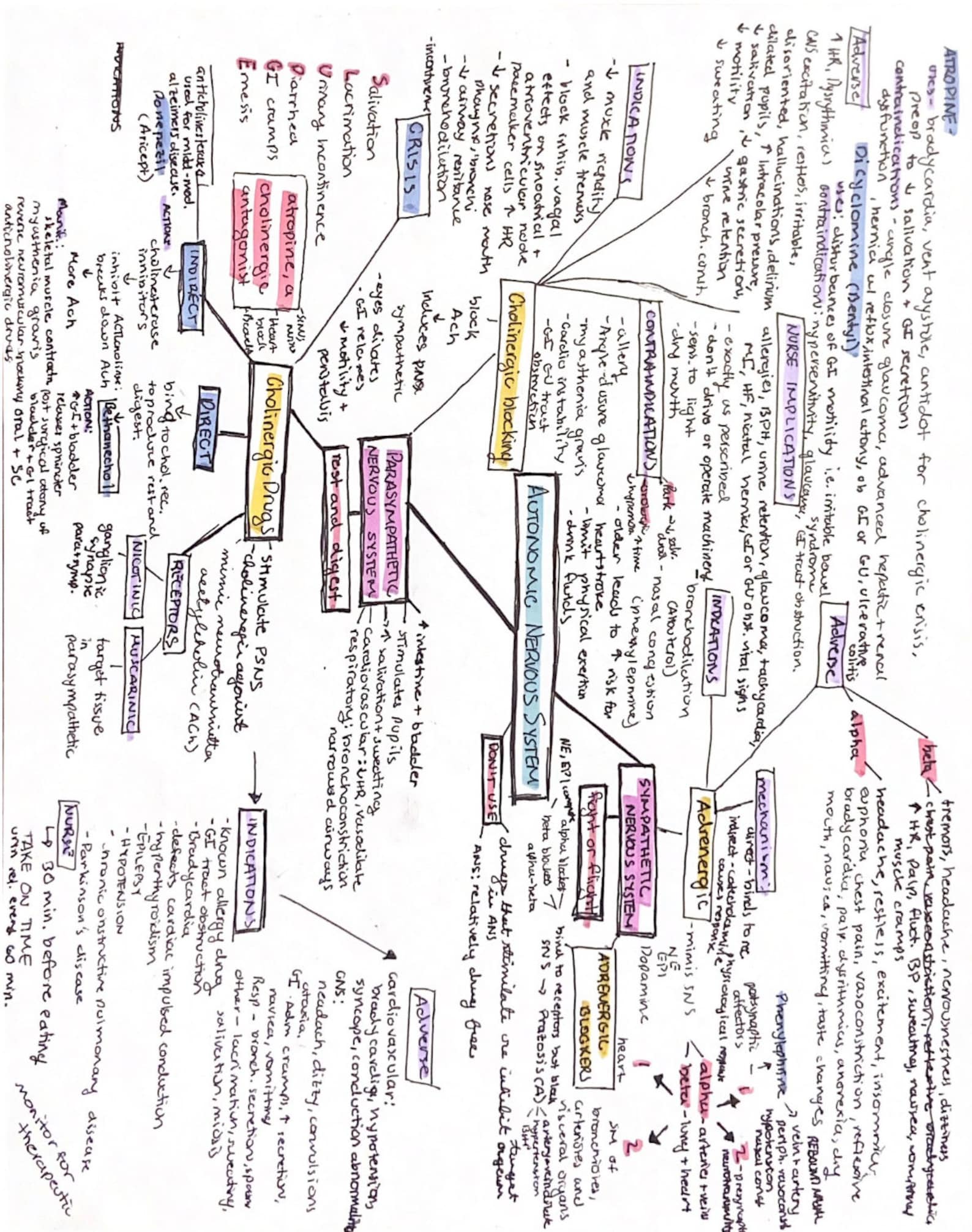 PHARM Concept Maps: Autonomic Nervous System - Etsy