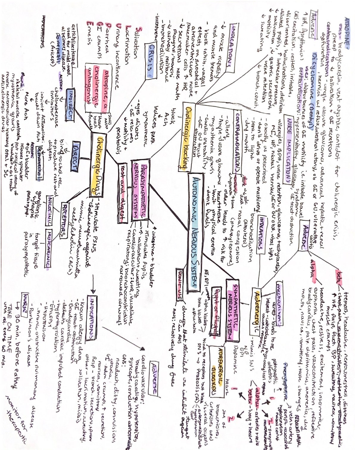 PHARM Concept Maps: Autonomic Nervous System - Etsy