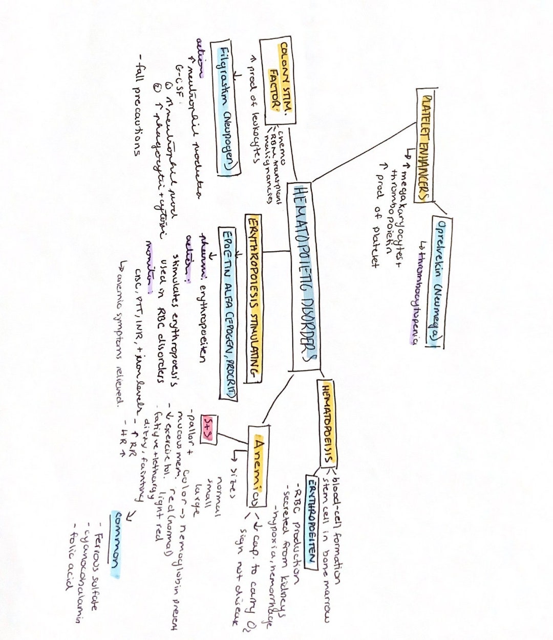 PHARM Concept Maps: Hemopoietic Disorders - Etsy