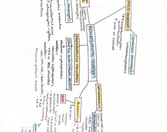 PHARM Concept Maps: Neuromuscular Disorders | Etsy