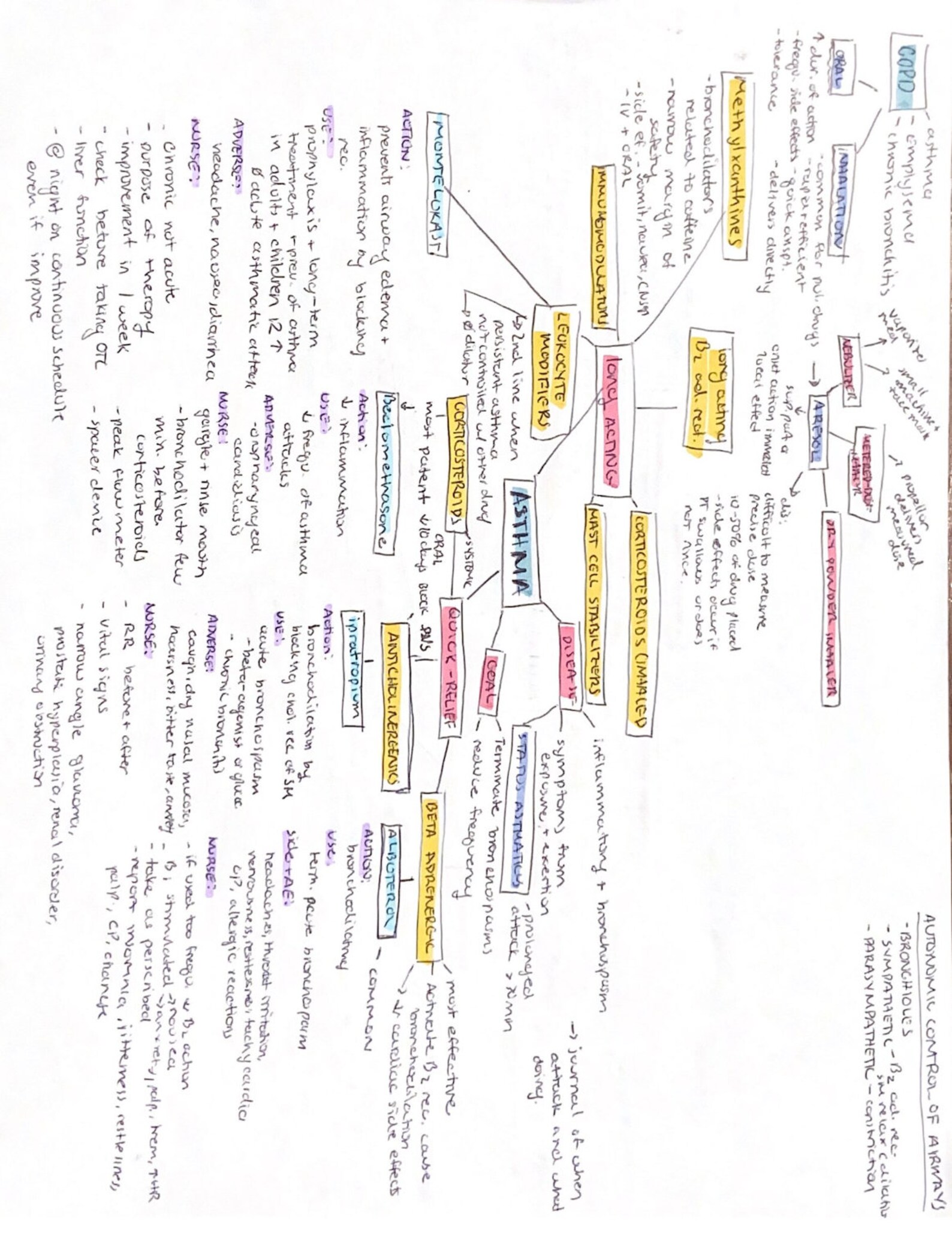 PHARM Concept Maps: Asthma - Etsy
