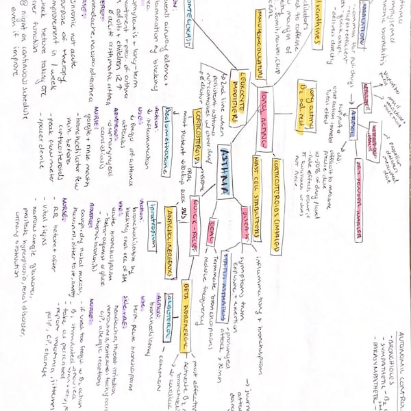 Nursing Concept Map for Asthma - Etsy