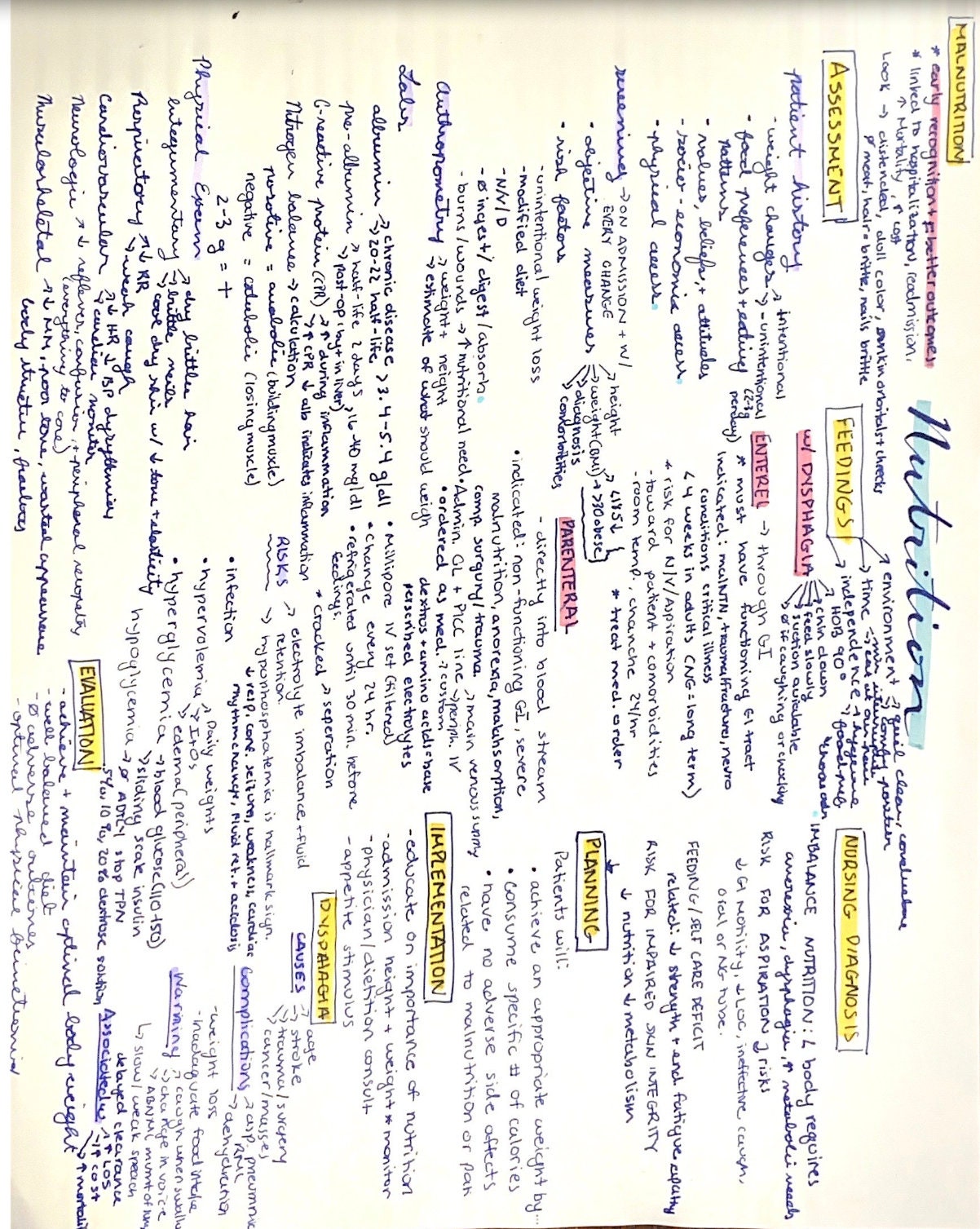 NSG Concept Maps: Nutrition - Etsy